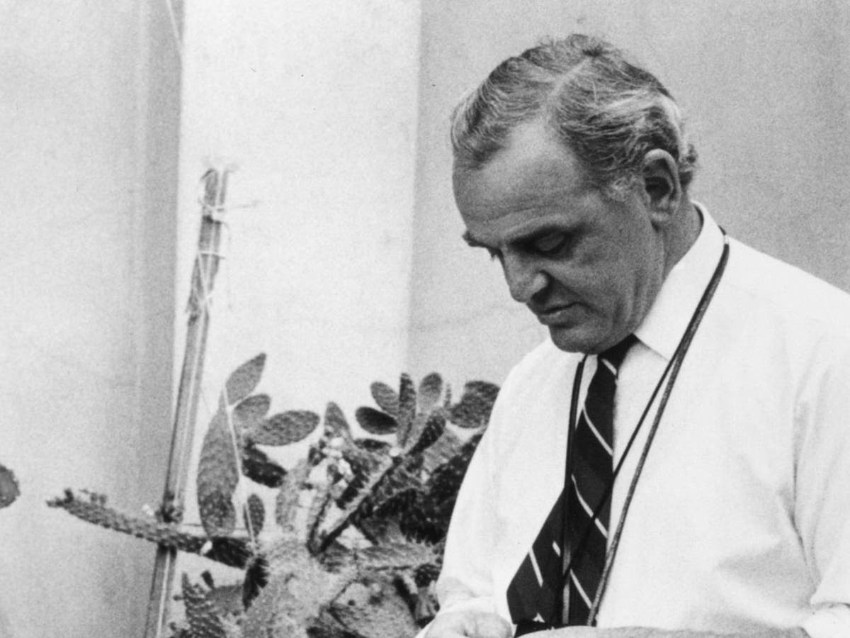 Christopher Challis: Cinematographer celebrated for his unforgettable ...