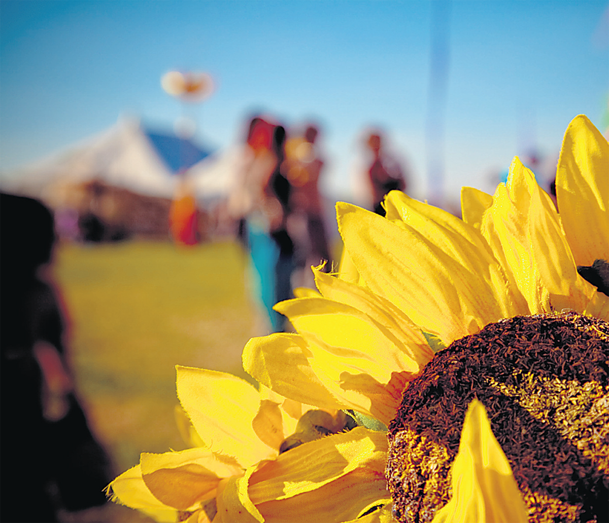 A green light for the summer | The Independent | The Independent