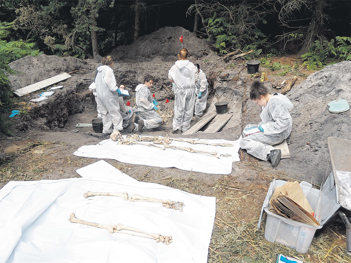 Forensic osteology: Could you unearth a body of evidence? | The ...