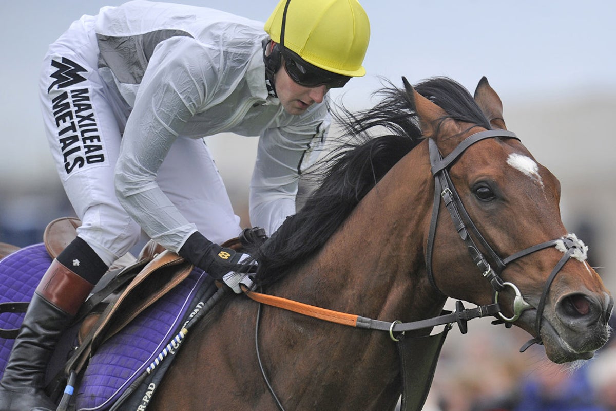 Frankel: A career unfulfilled? | The Independent | The Independent