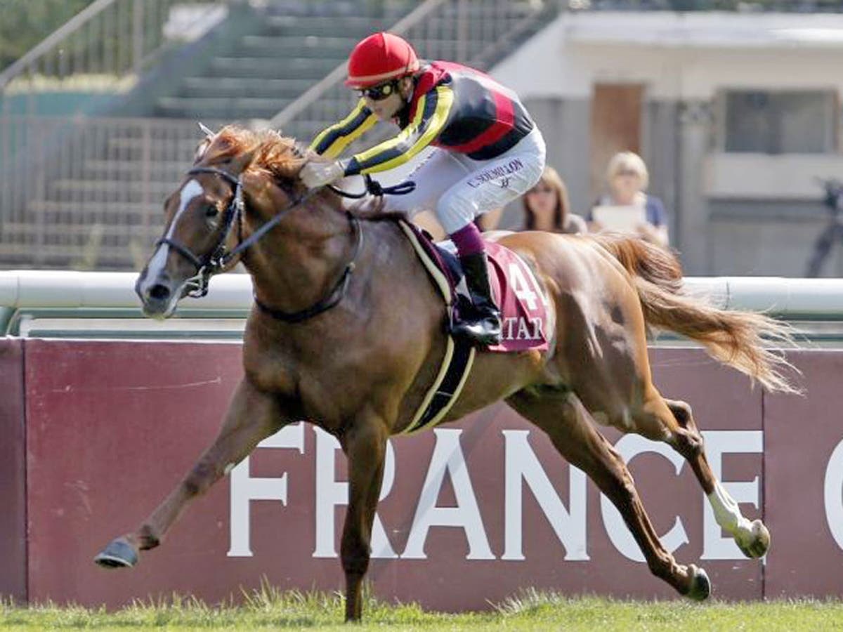 Orfevre is now the favourite to give Japan first Arc win | The ...