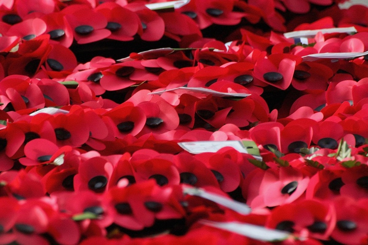 Poppy campaign has no right to demand conformity | The Independent ...
