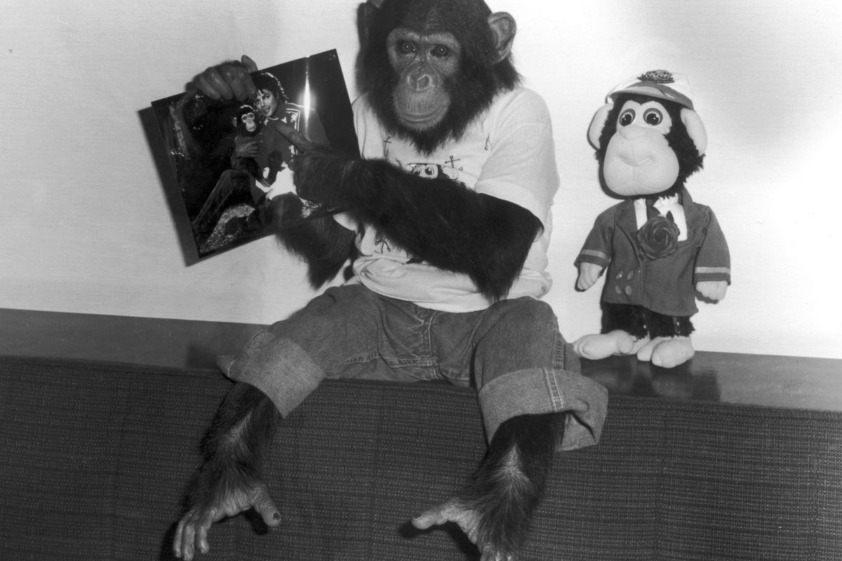 Michael Jackson's monkey paints $1,500 abstracts | The Independent ...