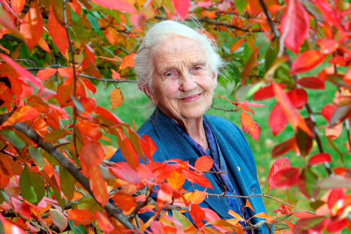Dame Elisabeth Murdoch: Philanthropist and key figure in the rise of ...