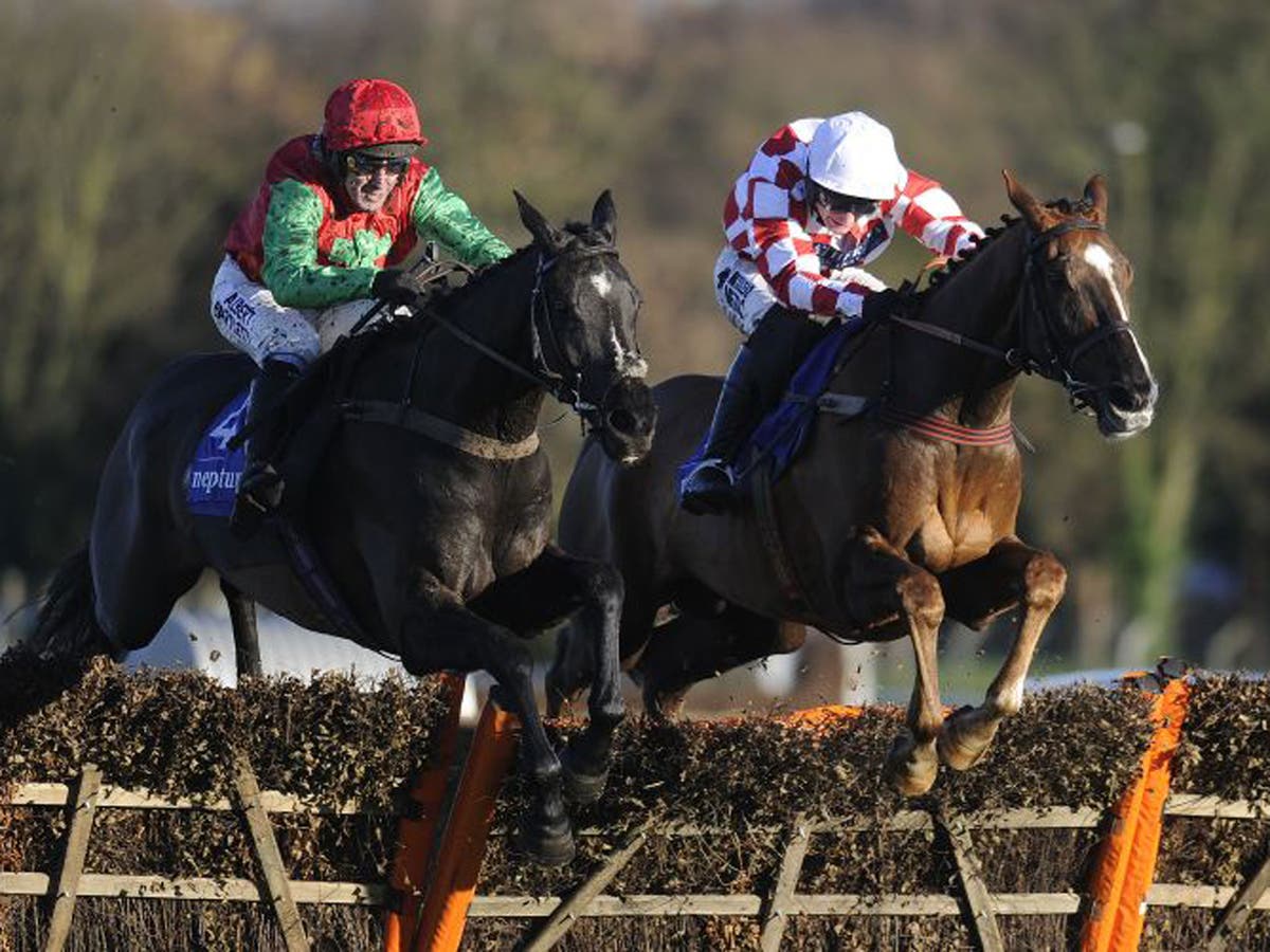 Sprinter Sacre and Flemenstar look cut above in new generation duels ...