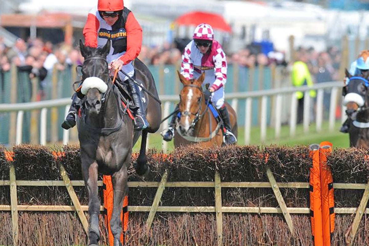 Racing: Buck's out for season in big blow to Nicholls | The Independent ...