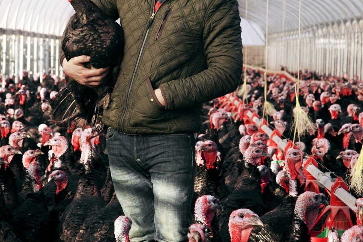 Jimmy Doherty: 'Christmas starts with a glass of champagne' | The ...