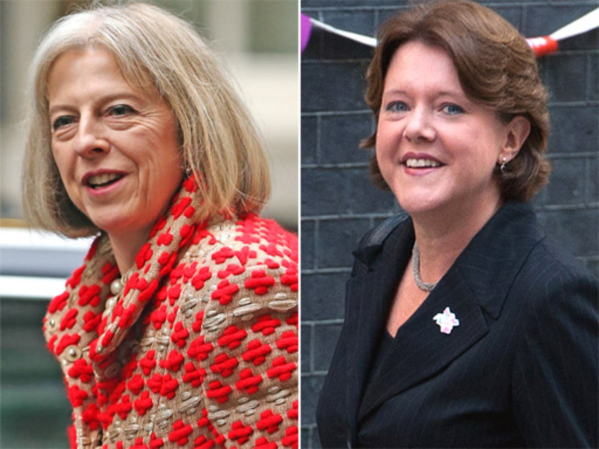 Exclusive: Revealed - Tory plan for firms to run schools for profit ...