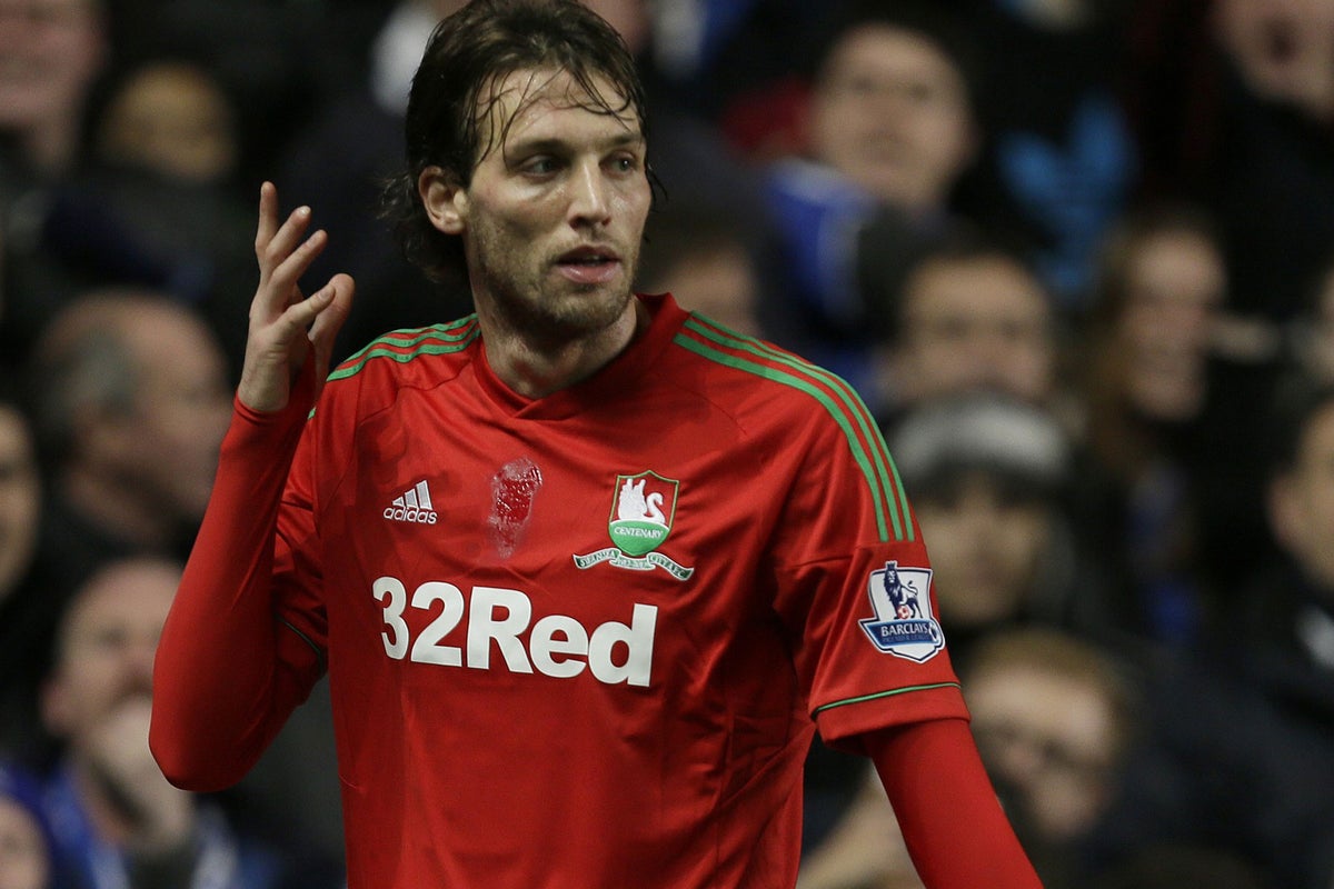 'Michu in running for Player of Year' after goal exploits | The ...