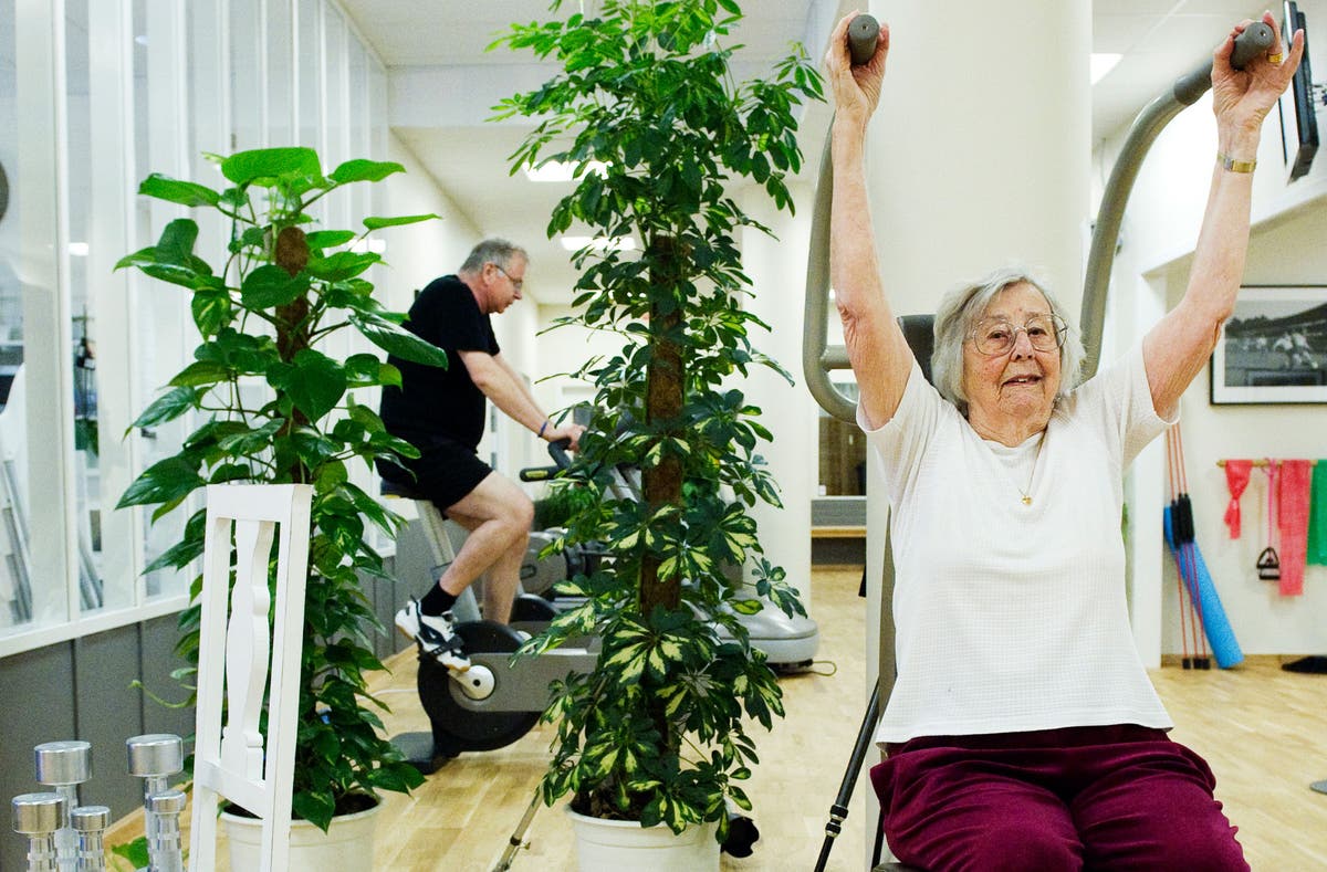 If the pension pot is empty, we have to let older people work | The ...