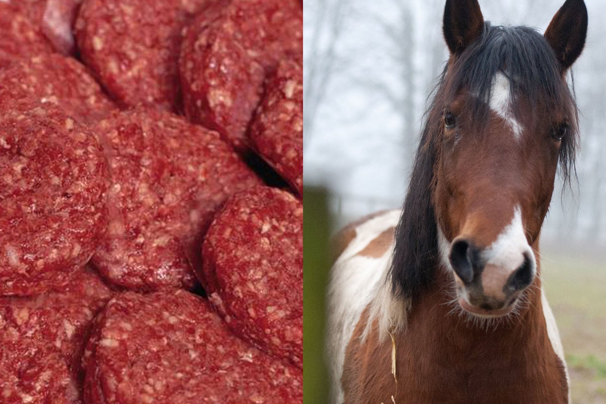 Asda clears shelves of value burgers as horsemeat scandal knocks £300m ...