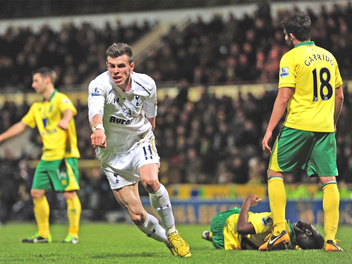 Match Report: New faces lift Chris Hughton after Gareth Bale rescues ...