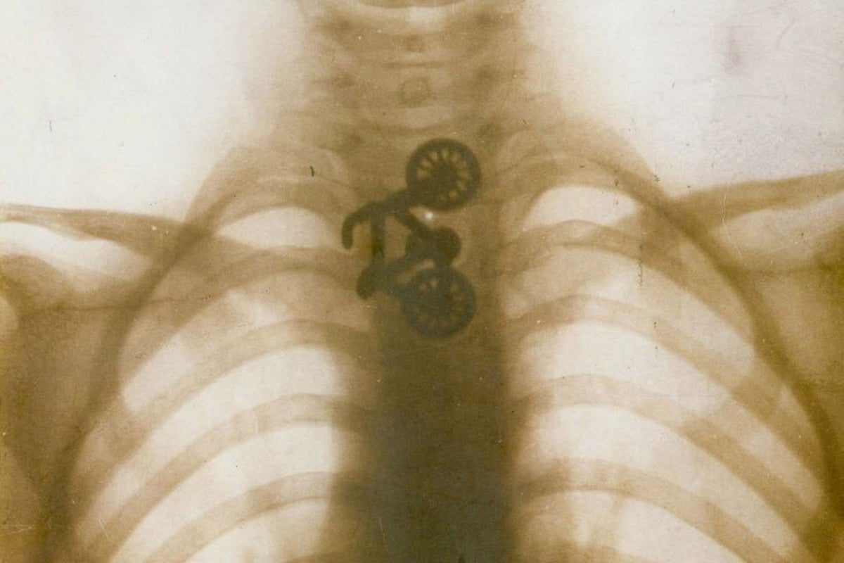Chew on this: UCL exhibition showcases the men who swallowed everything ...