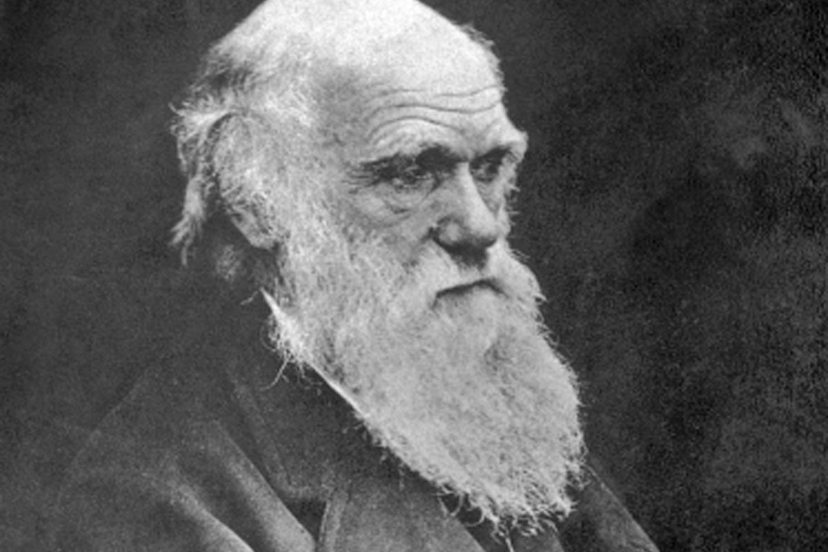 Revealed: Darwin's secret anguish over daughter-in-law’s death | The ...