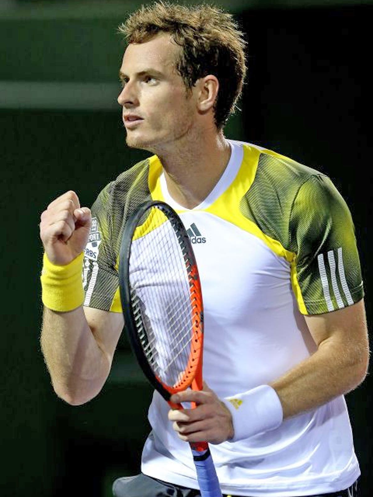 And now to rule the world: what would it take for Andy Murray to make ...