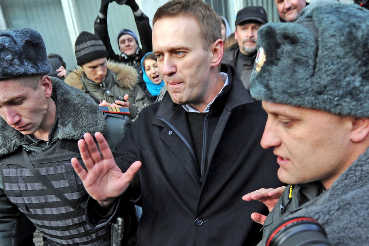 Russian opposition leader and anti-corruption activist Alexei Navalny ...