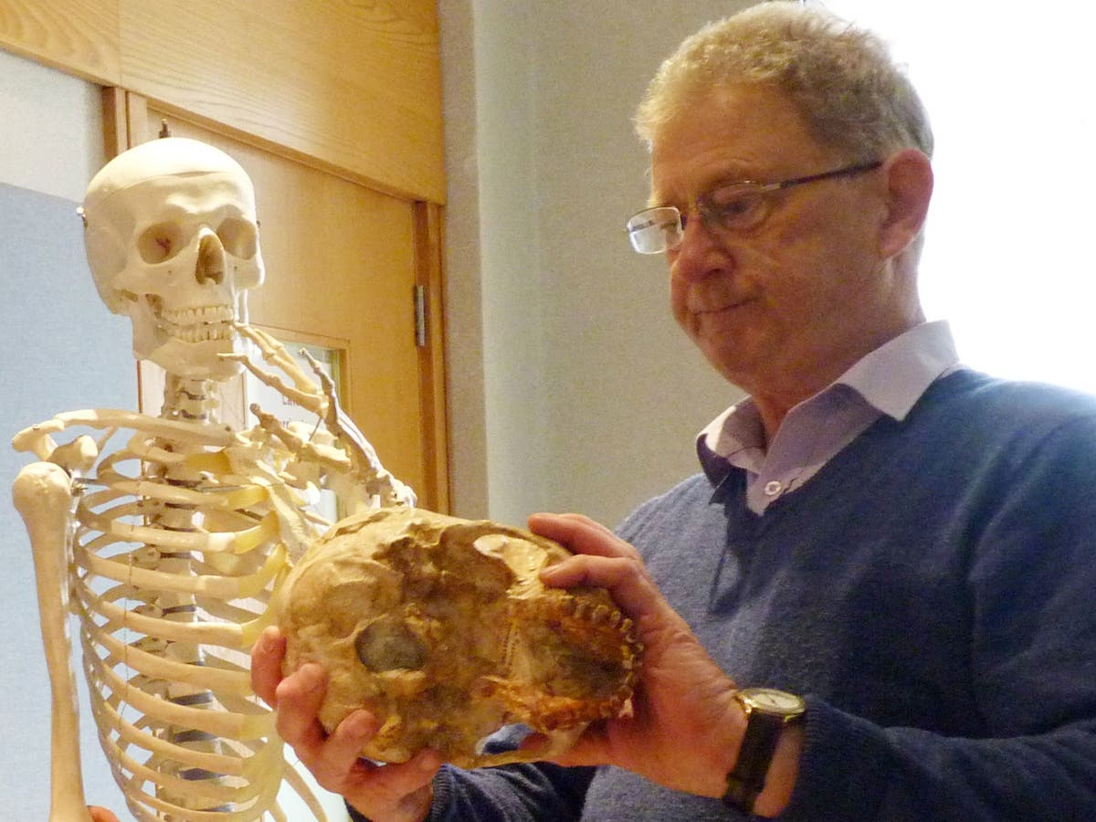 Professor Tony Legge: Authority on the archaeology of animal bones ...