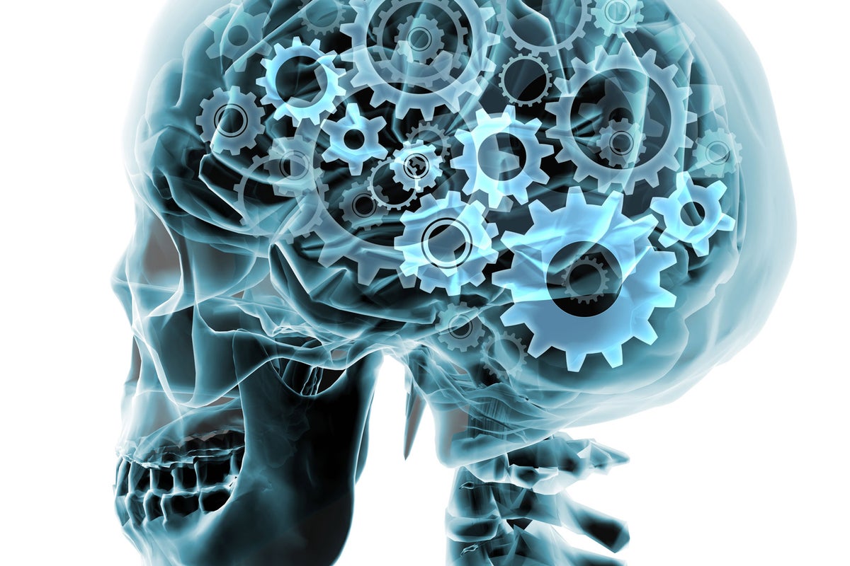 New forensic technique for estimating time of death by checking ...