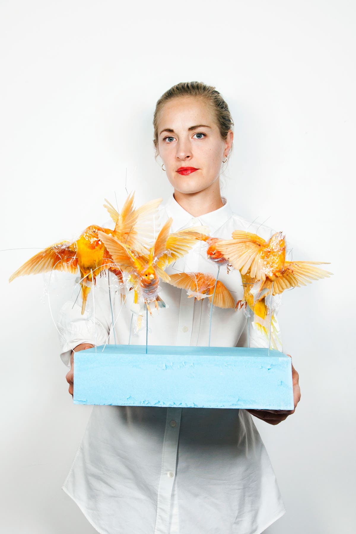 Polly Morgan: The taxidermy artist talks llama rides, eyeball scarves ...