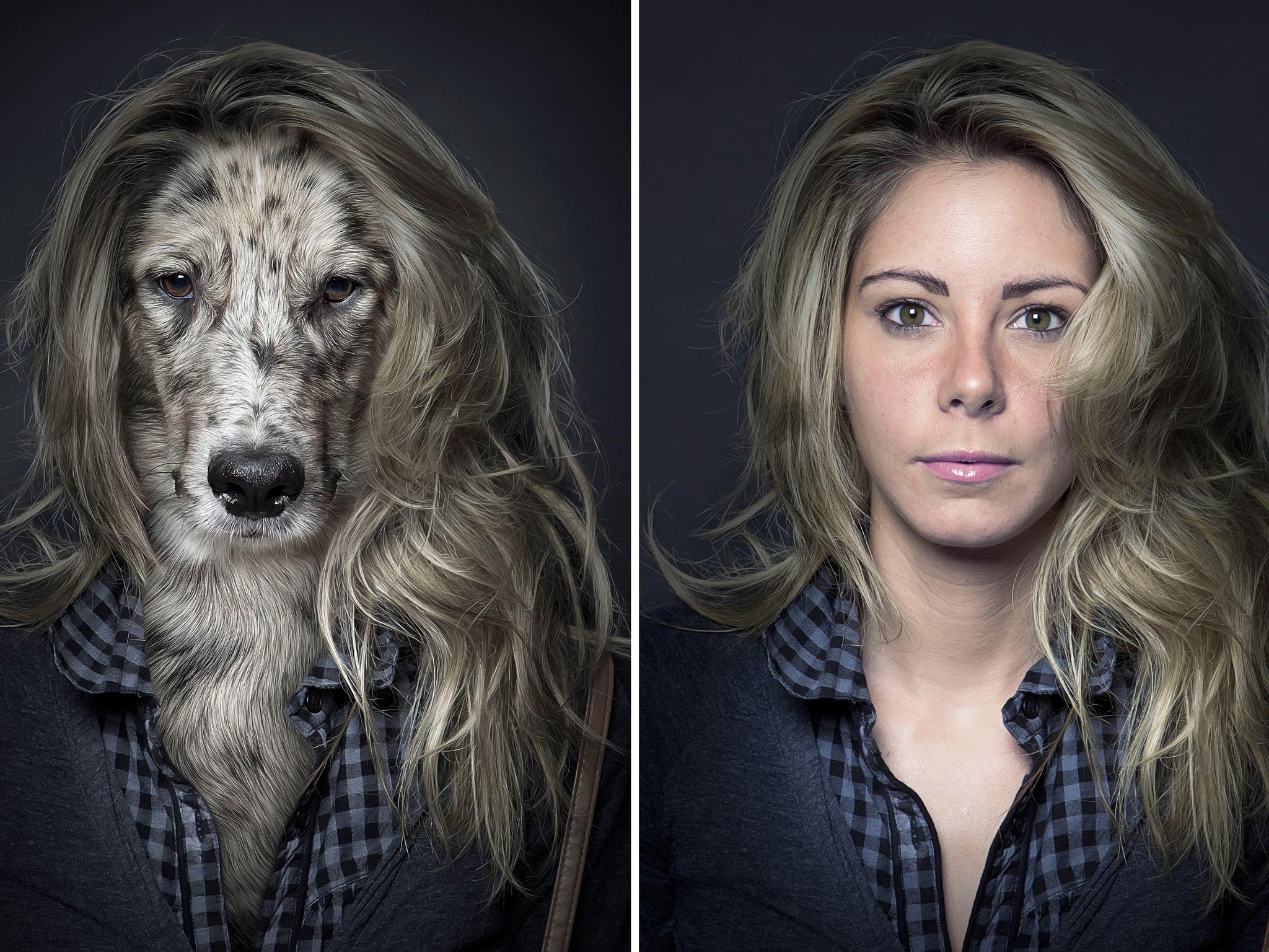 Dogs That Look Like Their Owners