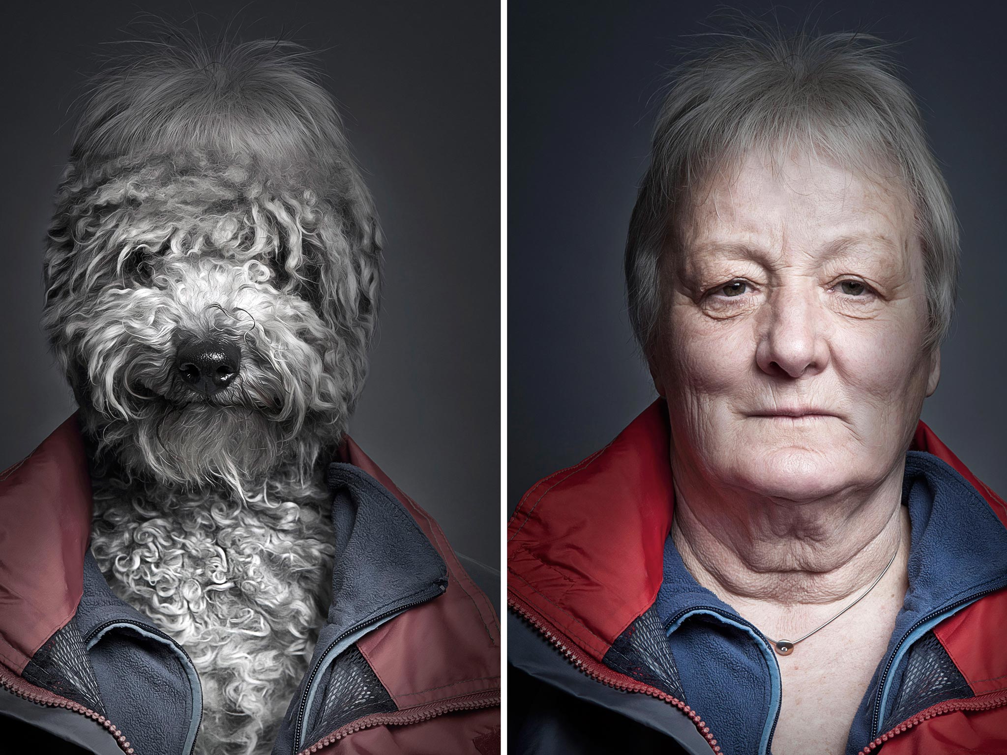 Barking! Photographer creates series of images proving dogs really DO ...