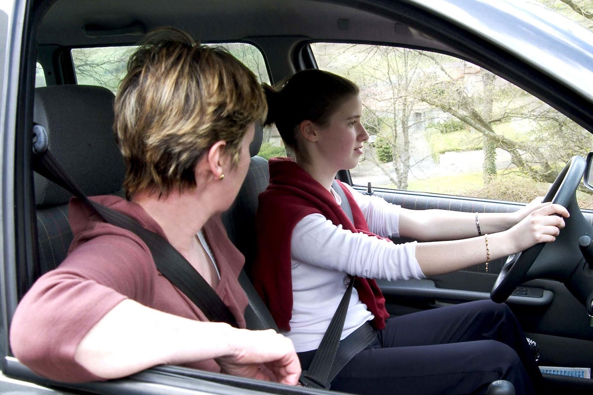 Learn to drive with your parents and be driven crazy | The Independent ...