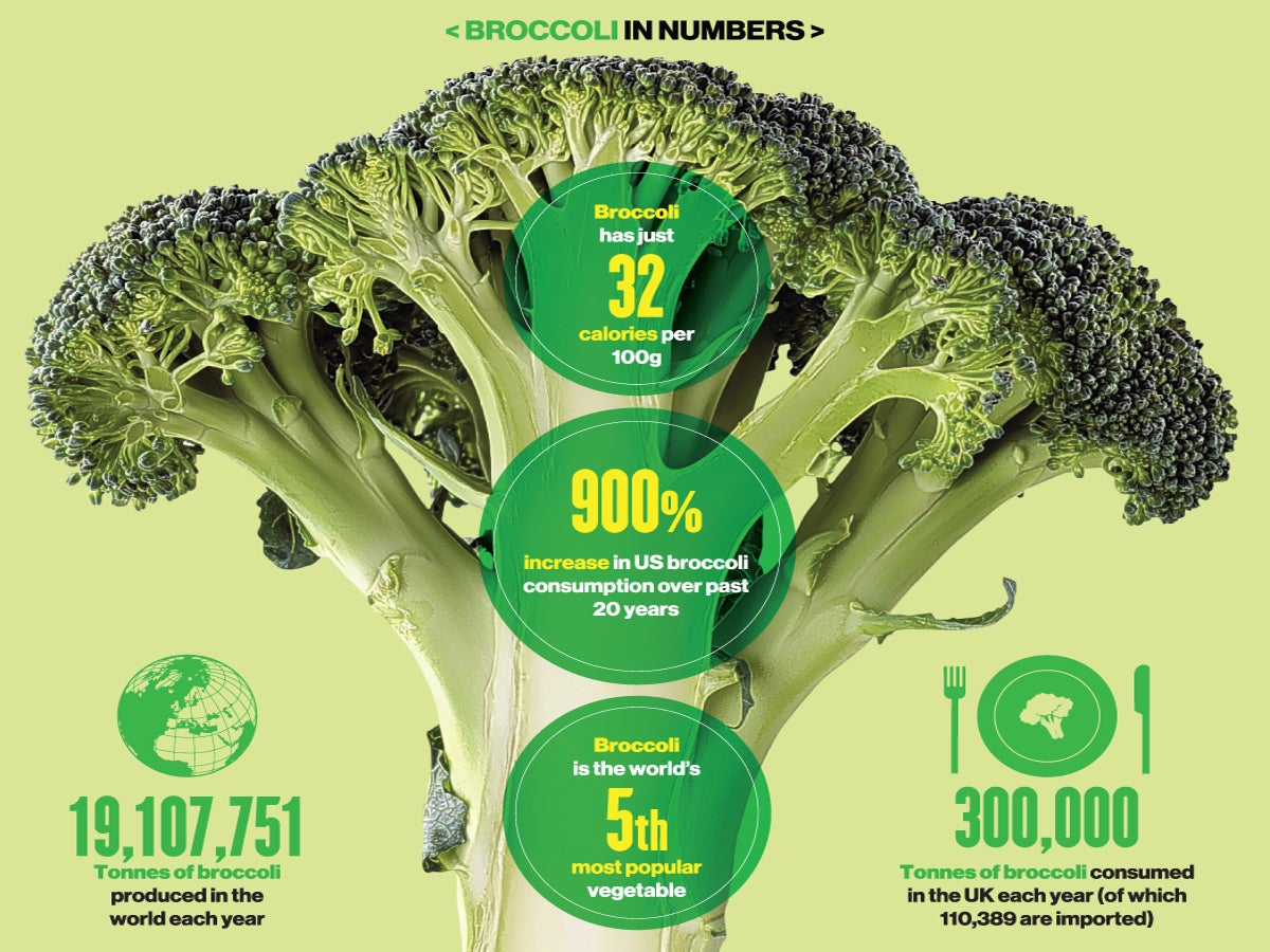 Broccoli History Broccoli An Overview | ScienceDirect Topics