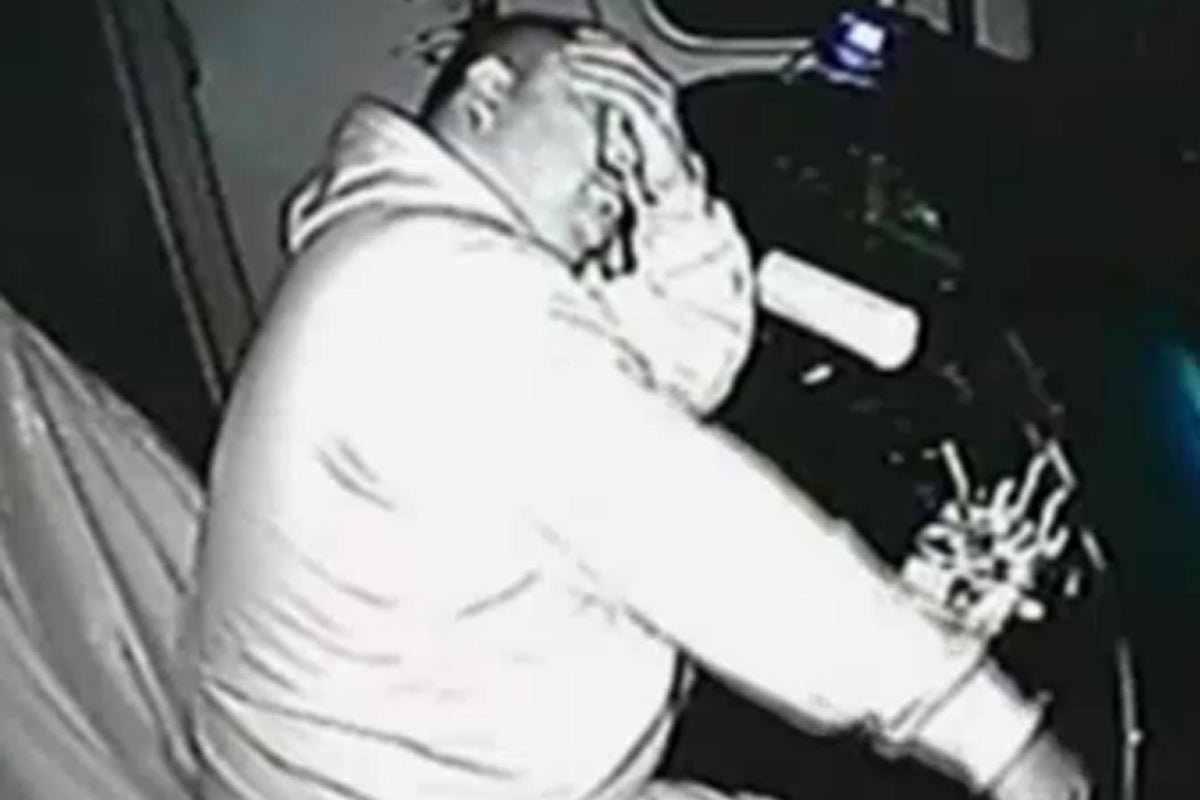 Video: Shocking footage shows train driver in Buenos Aires asleep at ...