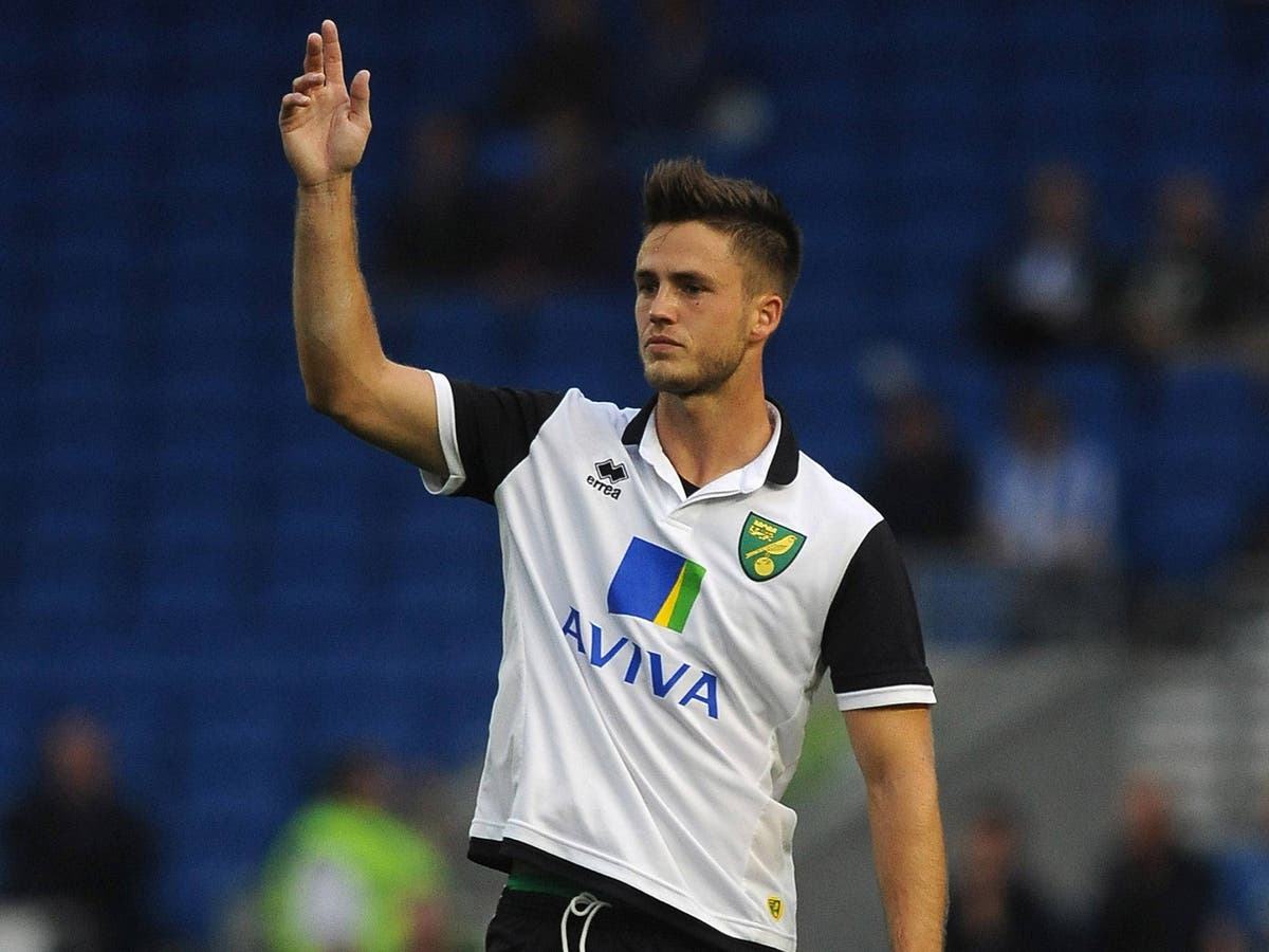 Ricky van Wolfswinkel will adapt quickly to Premier League expects ...