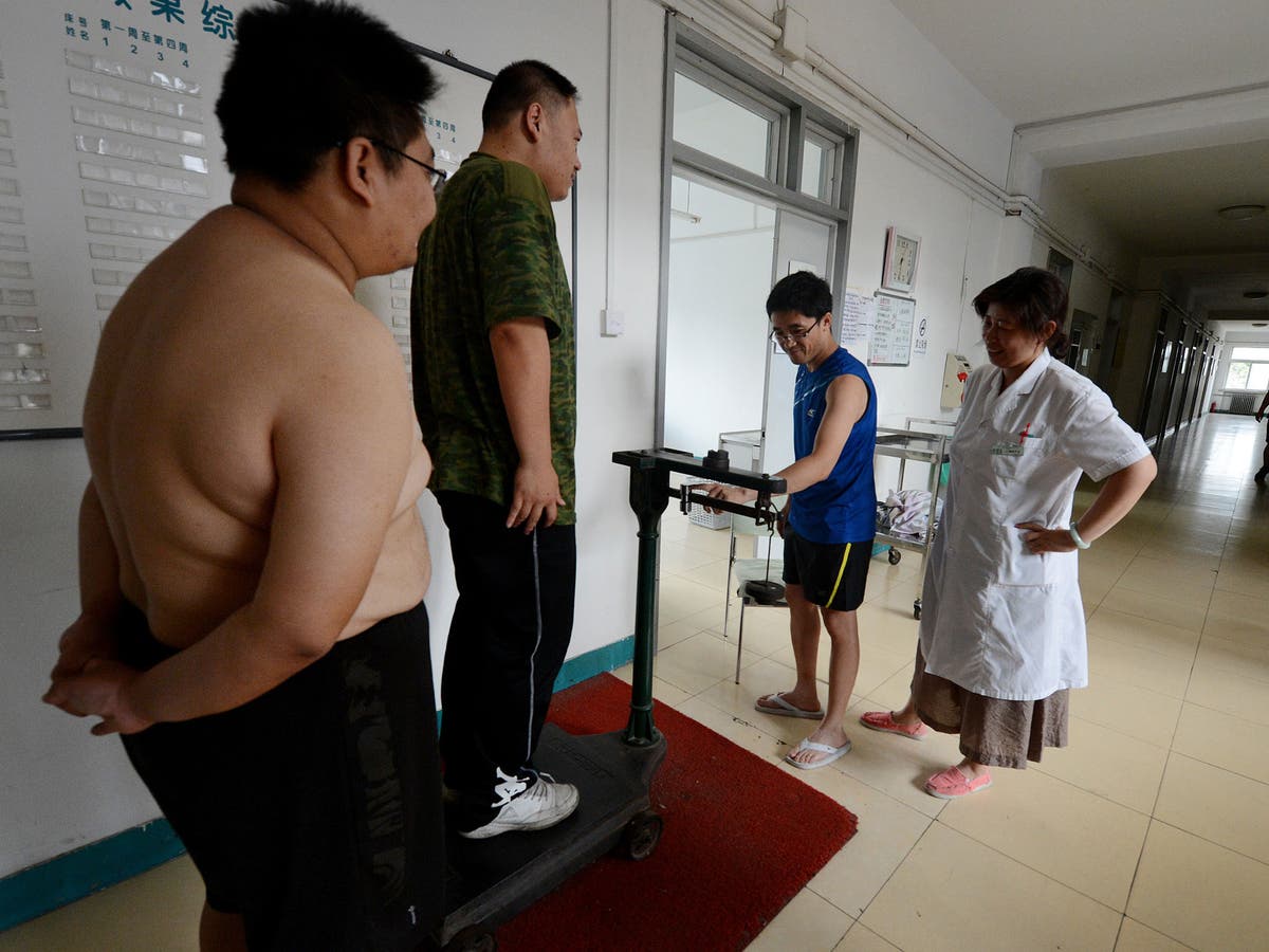 China joins the fat-fighters' club | The Independent | The Independent