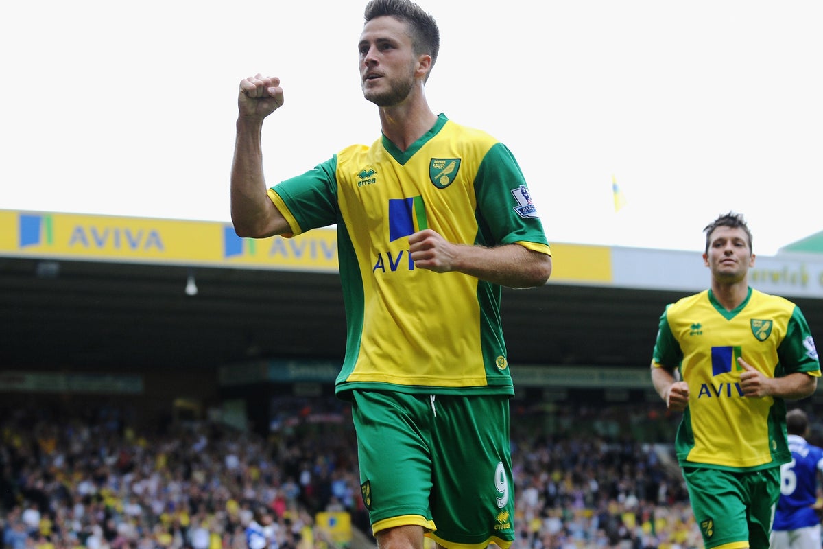 Norwich City 2 Everton 2 match report: Ricky van Wolfswinkel scores on ...