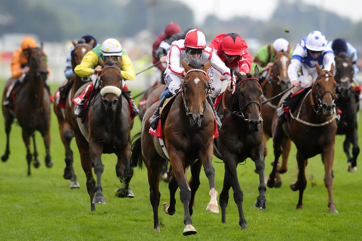 Tiger Cliff takes spoils with tigerish finish | The Independent | The ...