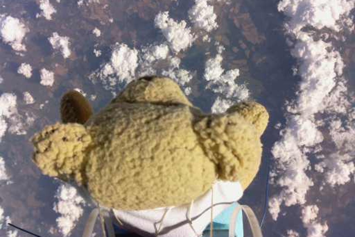 'Ted Bull Stratos': Raspberry Pi controlled teddy bear Babbage beats ...