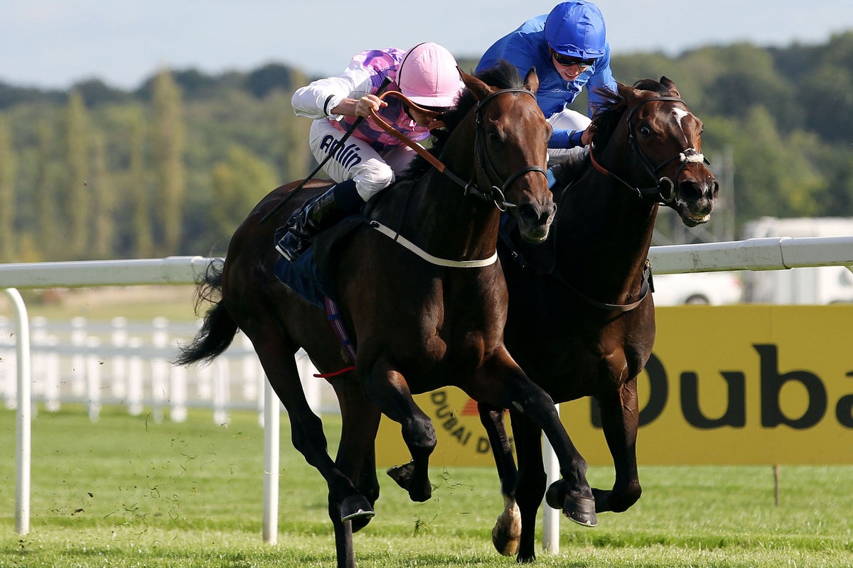Valonia set to realise true worth of new money and old values | The ...