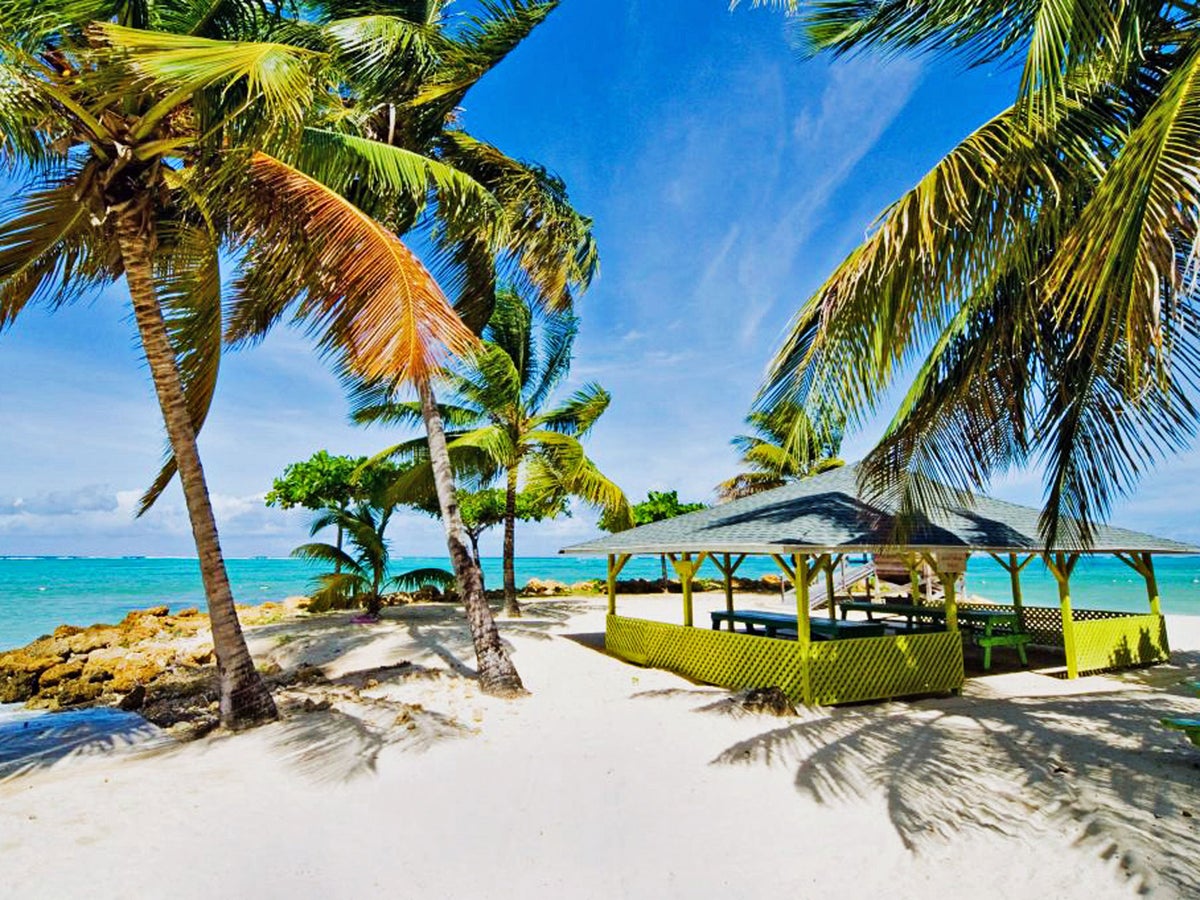 Trinidad Caribbean Country Trinidad And Tobago Holiday Guide | Top