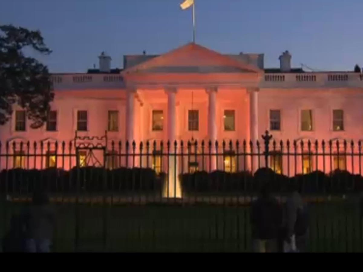 Video: White House turns pink for breast cancer | The Independent | The ...