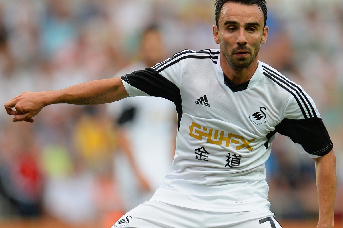 Swansea midfielder Leon Britton calls for calm heads if they are to ...