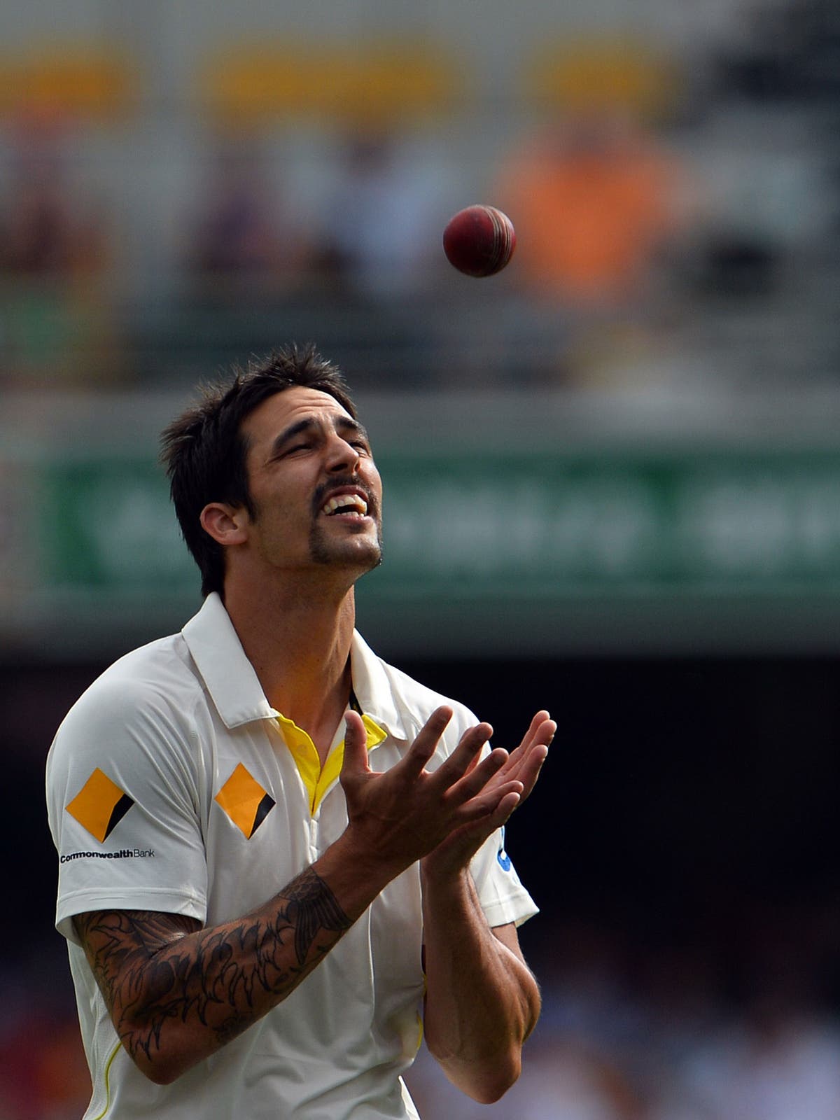 Ashes 2013-14: With Mitchell Johnson firing and England stuttering ...