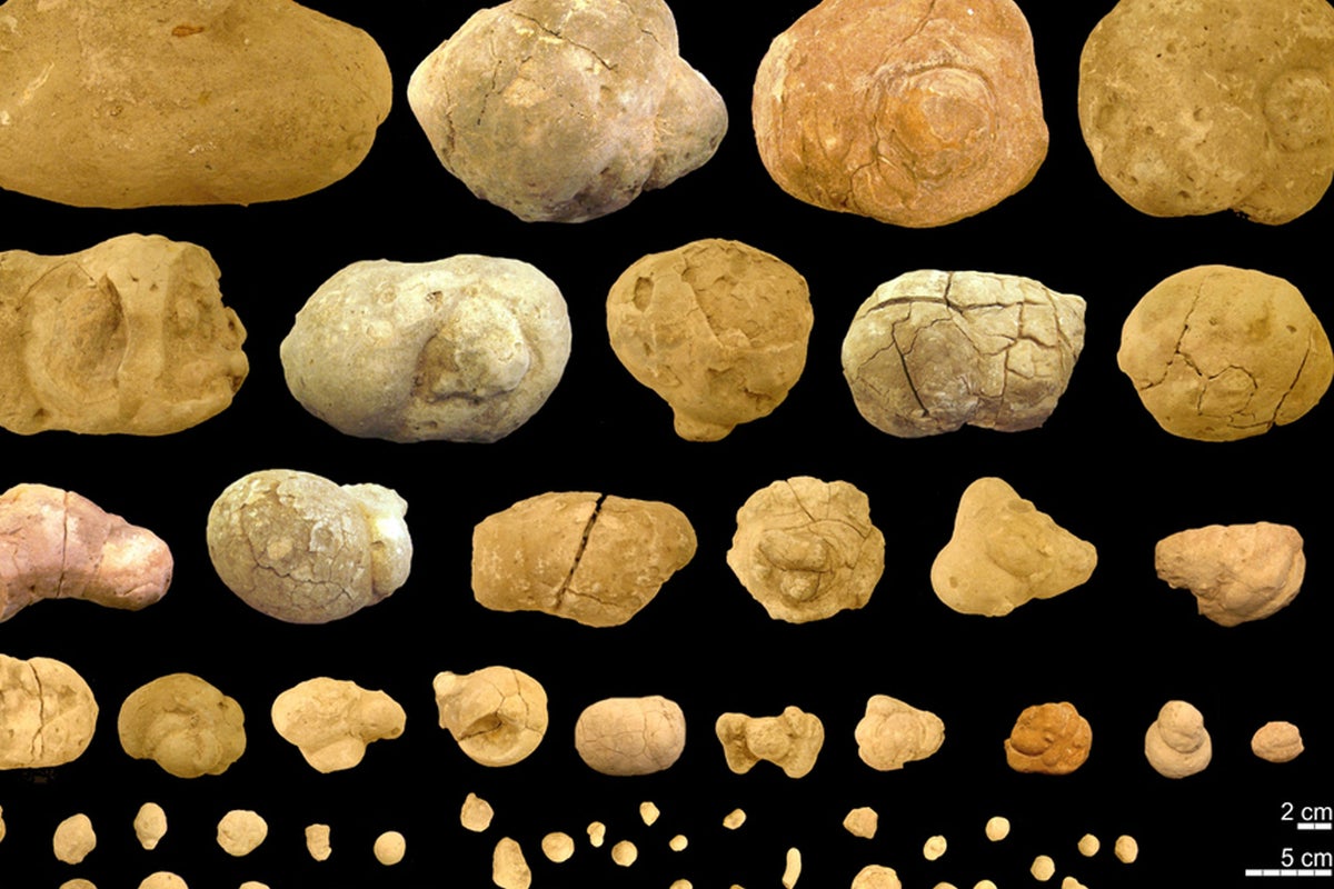 World's oldest prehistoric toilet unearthed in Argentina | The ...