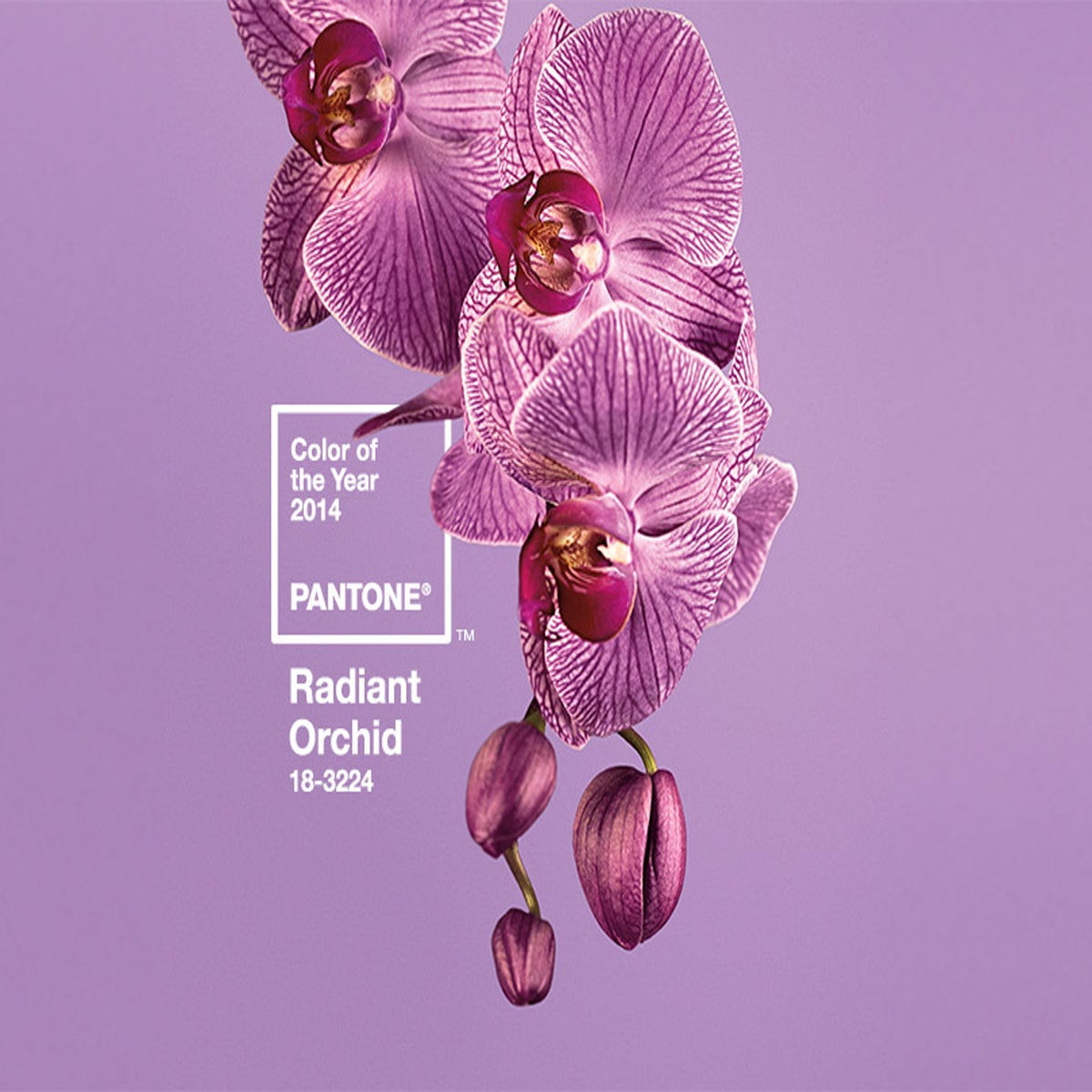 Spring 2014 Pantone Color Chart Non Woven Shopping Bag SandawoPack