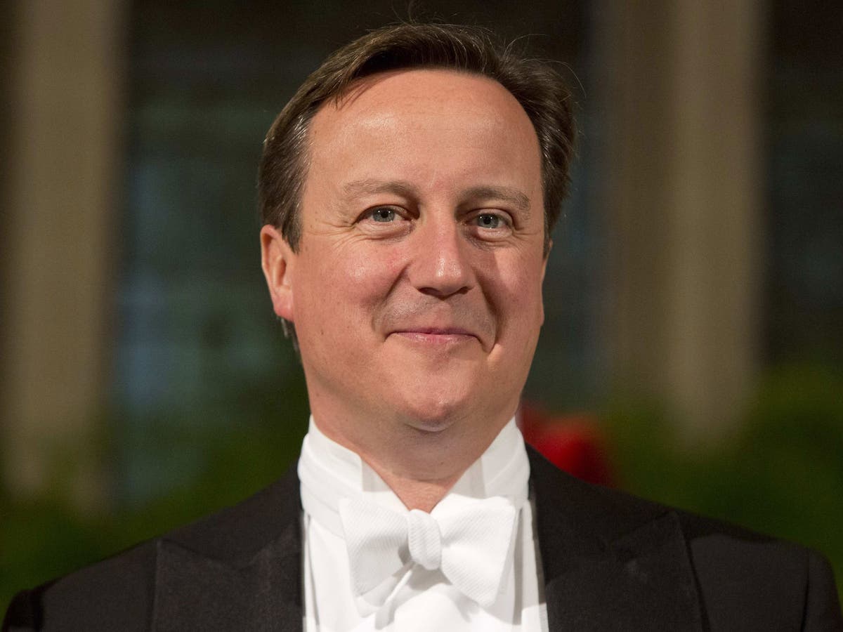 The secret life of David Cameron | The Independent | The Independent