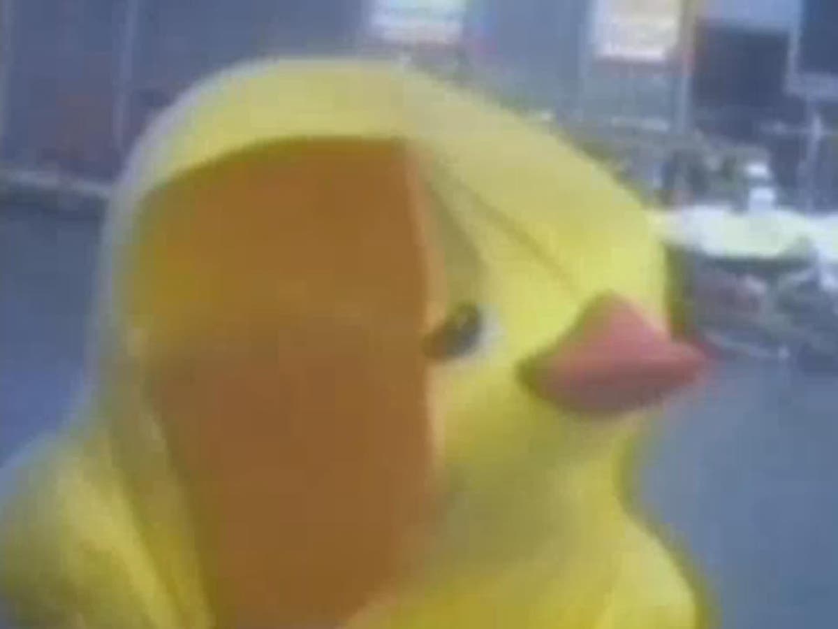 Video: Giant rubber duck explodes in Taiwan | The Independent | The ...