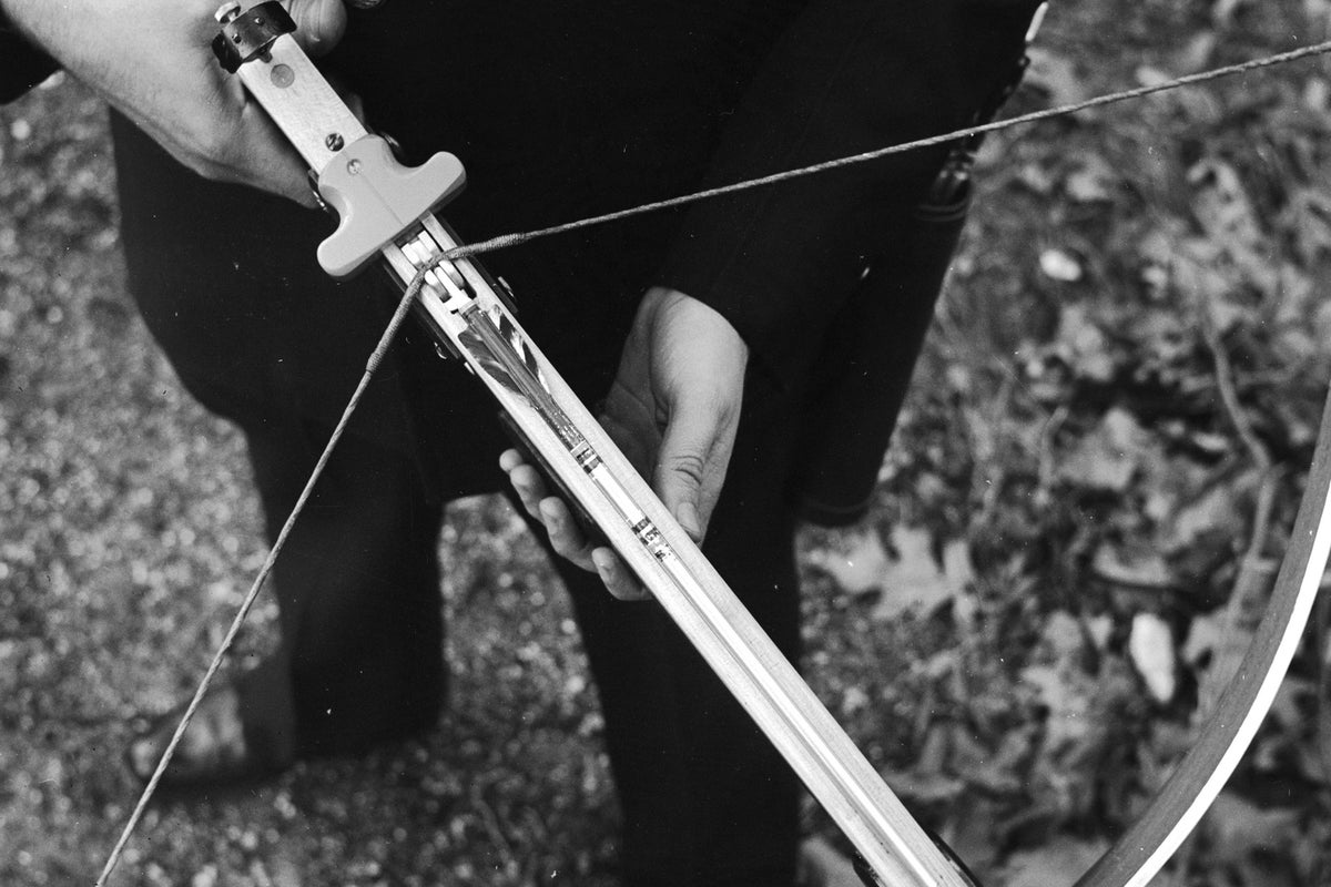 Man loses part of ear and finger in 'horrendous' crossbow attack | The ...