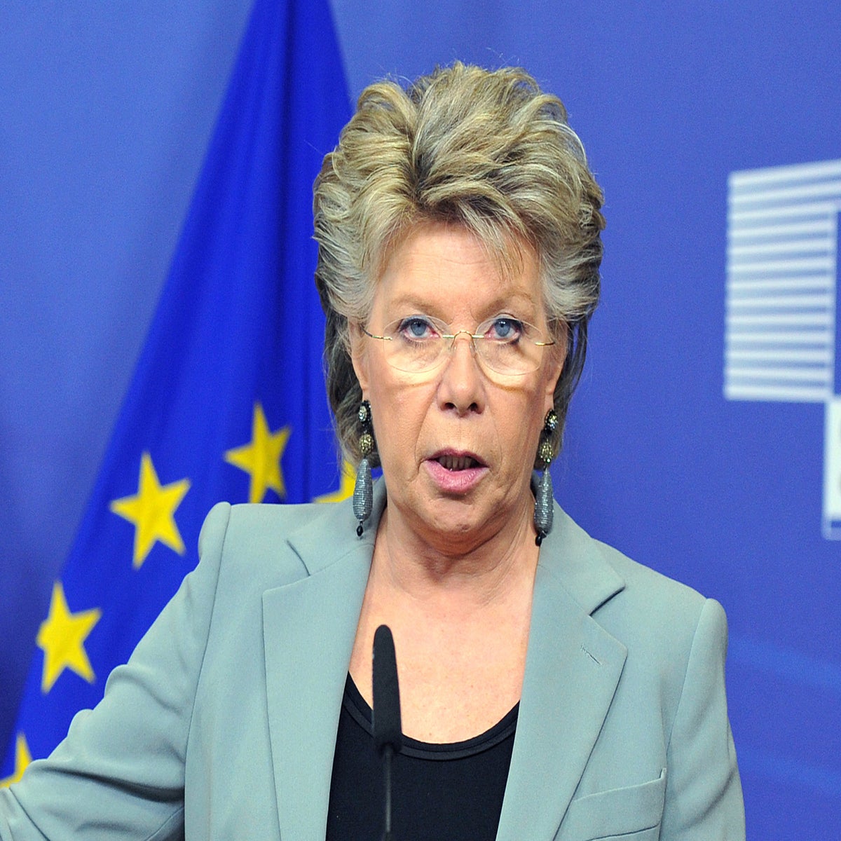 Viviane Reding's Instagram, Twitter & Facebook on IDCrawl
