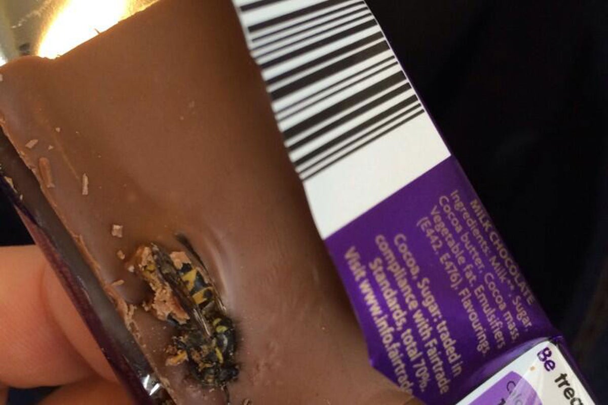 Cadbury launches investigation after 'wasp is discovered' in bar of ...