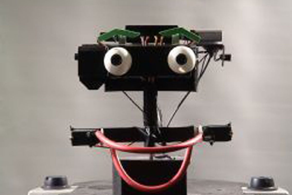 Introducing ERWIN, the robot with feelings | The Independent | The ...