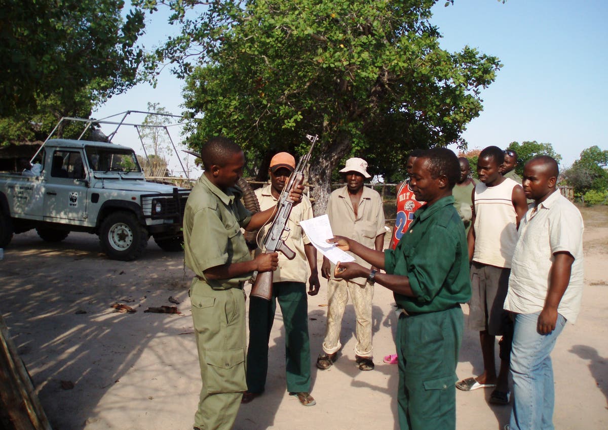 Army uniforms found at poachers' camps in Mozambique | The Independent ...
