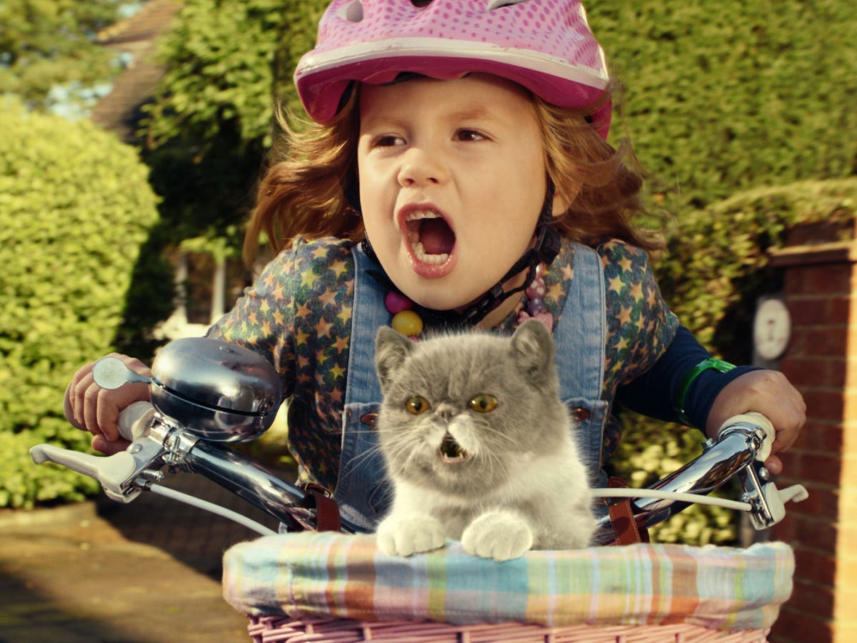 Sing It Kitty: Three launch another viral video | The Independent | The ...