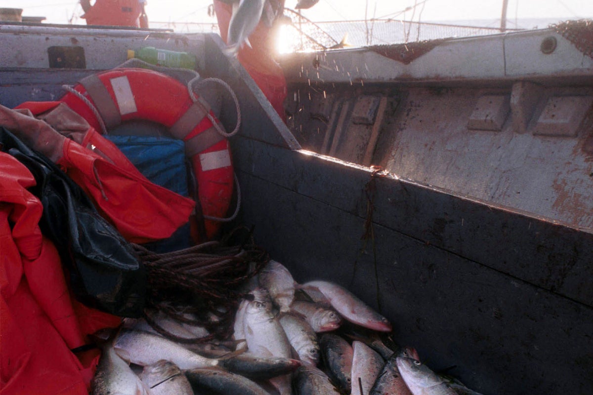 Cape Cod fishermen hoping for a lifeline as the region faces ongoing ...