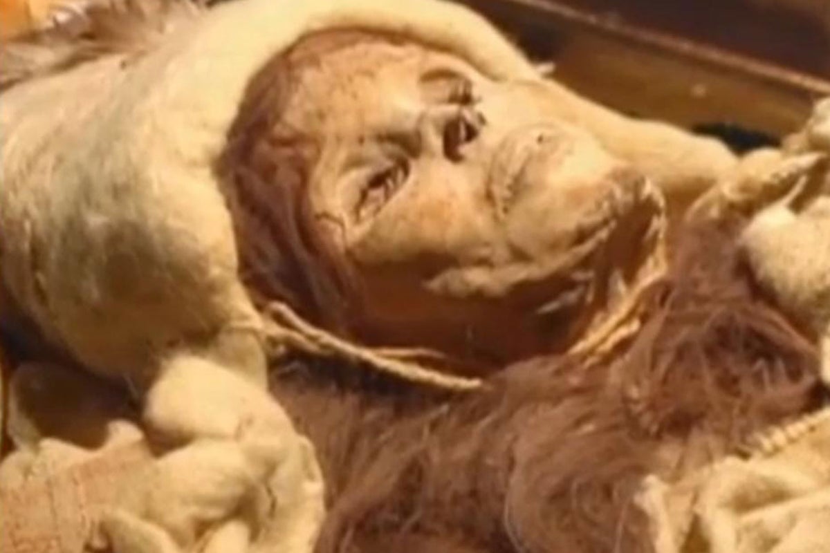 Scientists discover world's oldest cheese buried on mummies | The ...